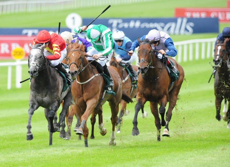 Best bets on Saturday 24 April | Racing tips Saturday | RacingTips